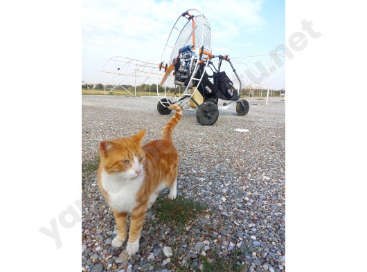 Fly Product Xenit Plus Simonini Mini 3 Paratrike