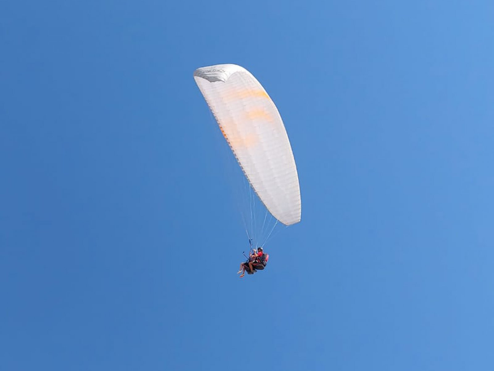 Özel renk Metis 4 tandem