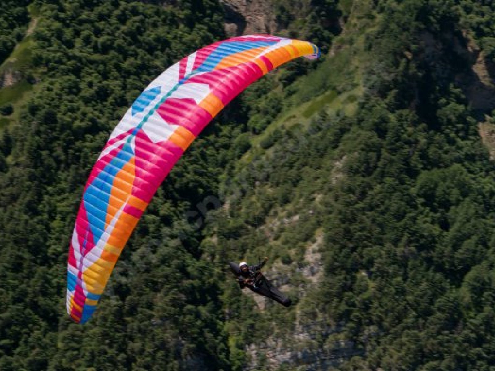 BGD Lynx2 (EN-C) - 2023 - 35h - 75-95